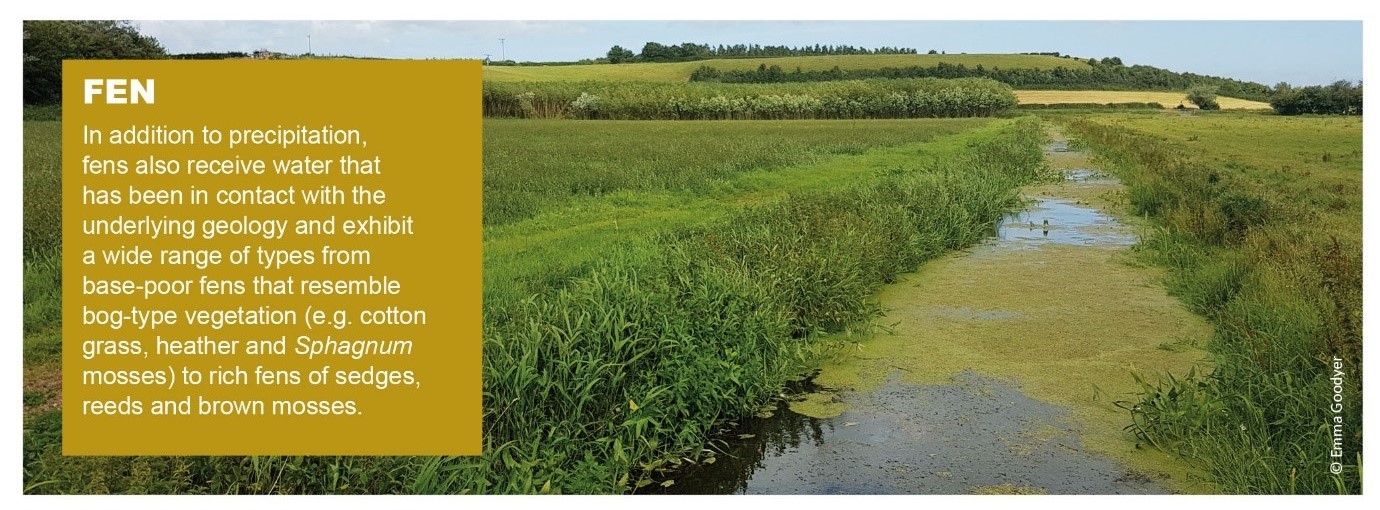 FAQs – Bog Day