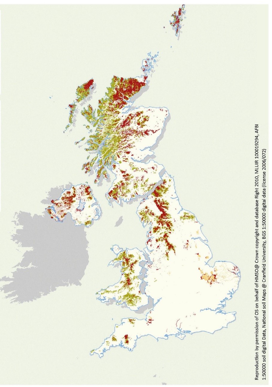 FAQs – Bog Day