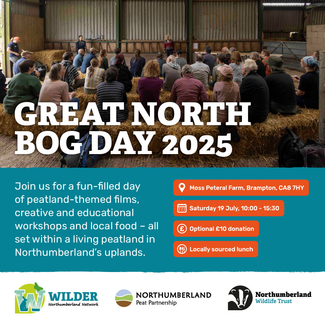 Events – England – Bog Day